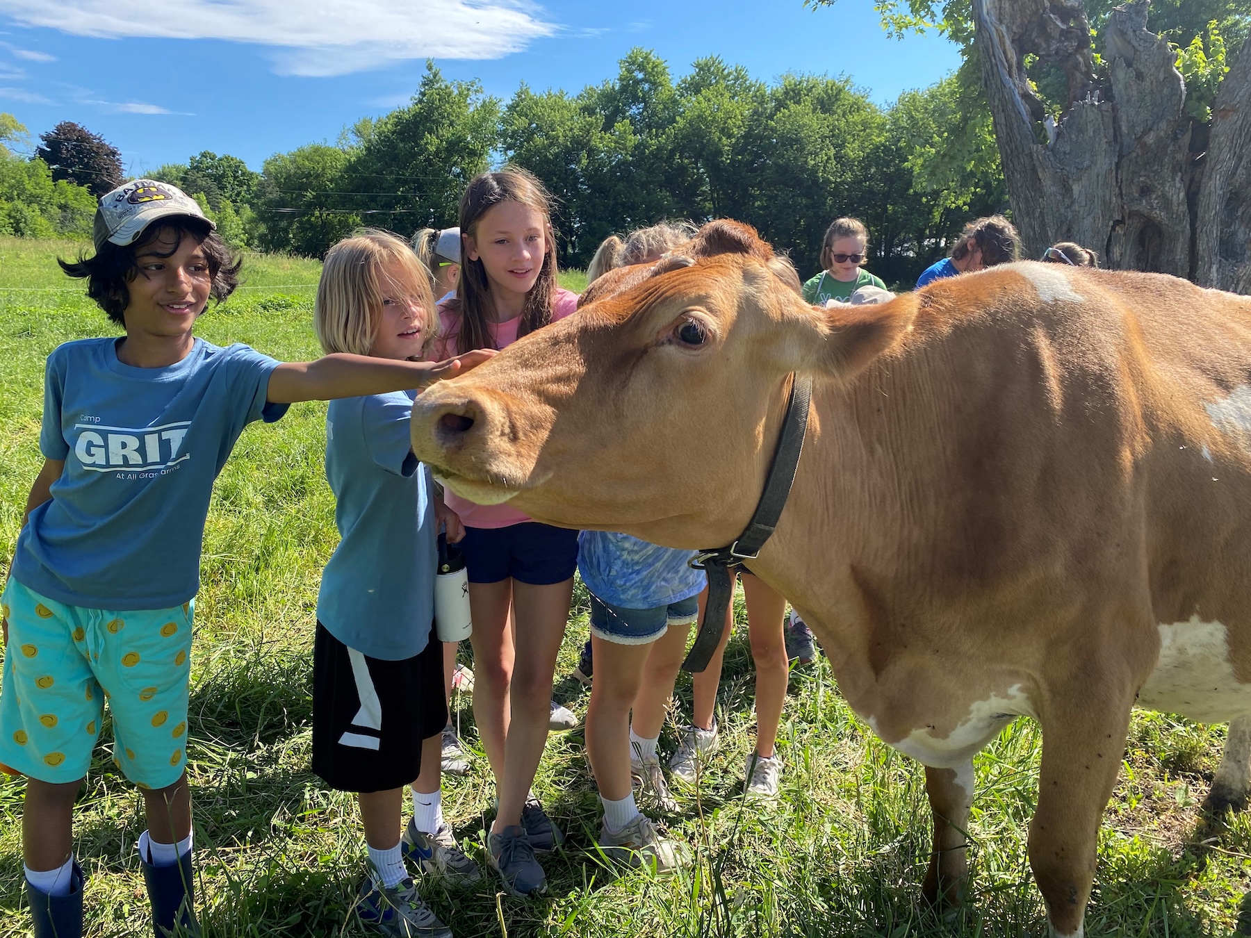 Summer Farm Camps at All Grass Farms - Crate Free USA